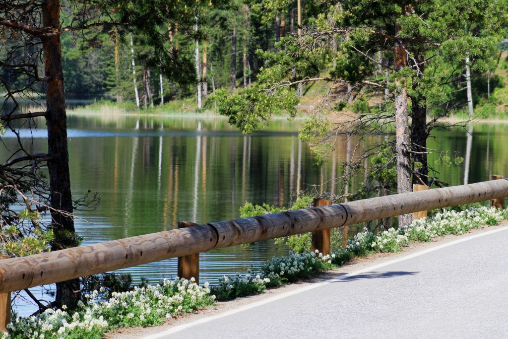 Kruunupuisto | Hyvinvoinnin kohtaamispaikka Punkaharjulla